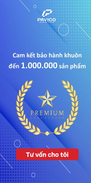 Giới thiệu - PAVICO