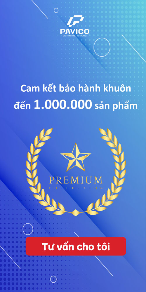 Giới thiệu - PAVICO
